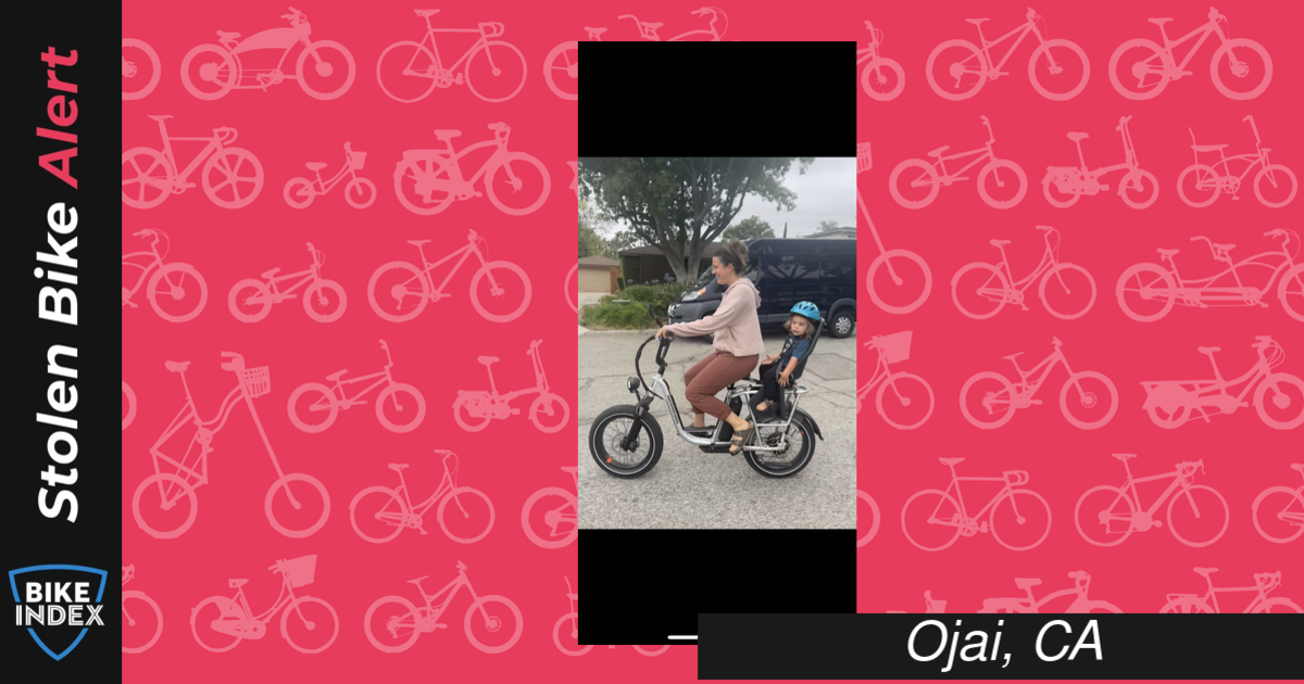 Stolen 2021 Rad Power Bikes RadRunner Plus