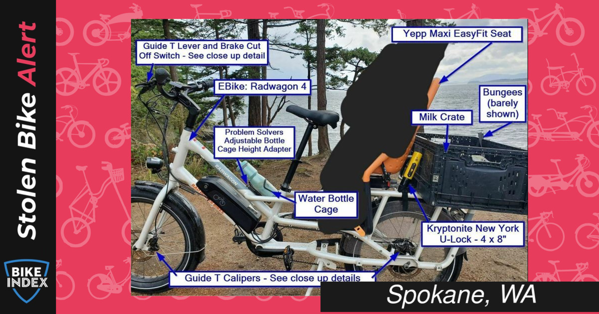 Stolen 2021 Rad Power Bikes Rad Wagon 4