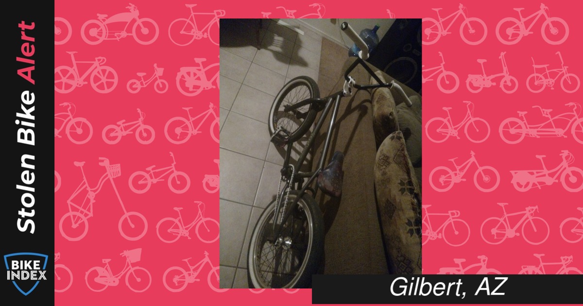 Stolen 2011 Free Agent Trail Duster