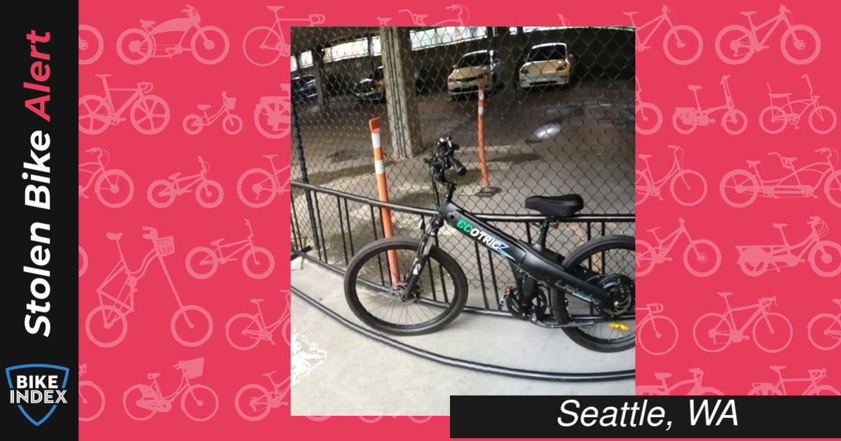 Stolen 2020 ECOTRIC LIGHTNING Electric Bike E-bike ECOTRIC LIGHTNING ...
