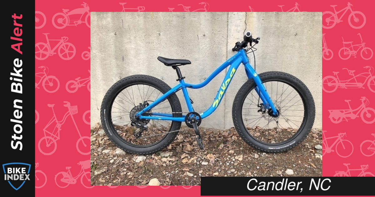 Stolen 2020 Salsa timberjack 24