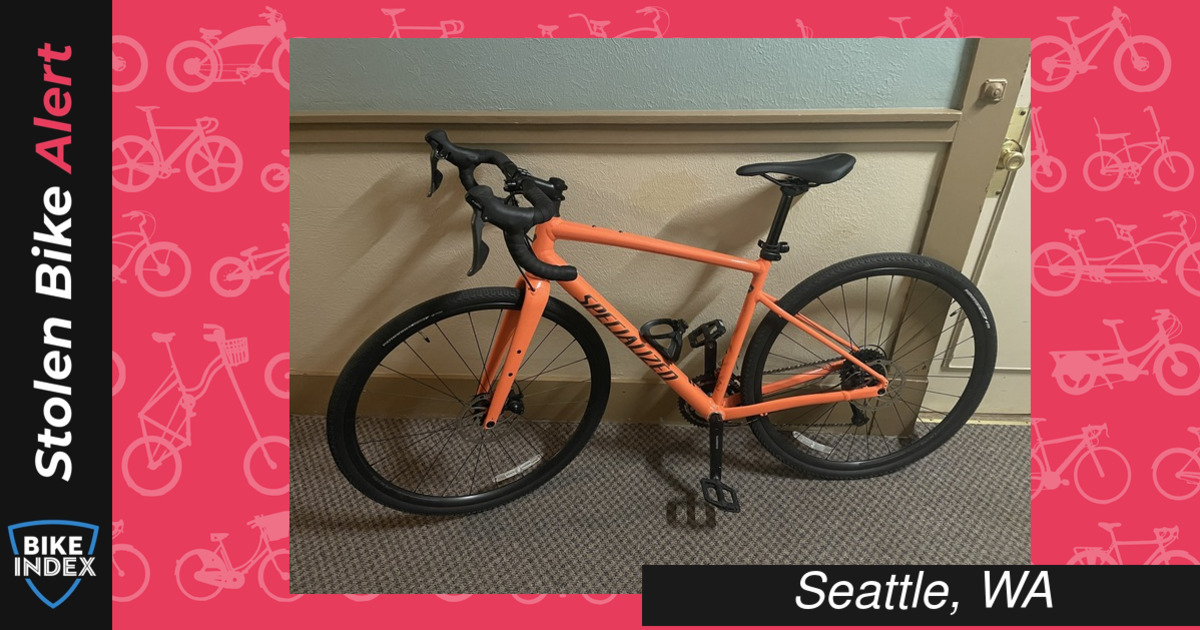 Stolen 2019 Specialized Diverge