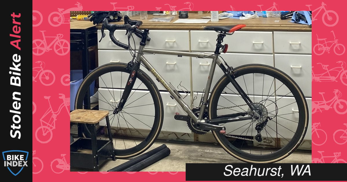 Stolen 2006 Davidson Custom titanium