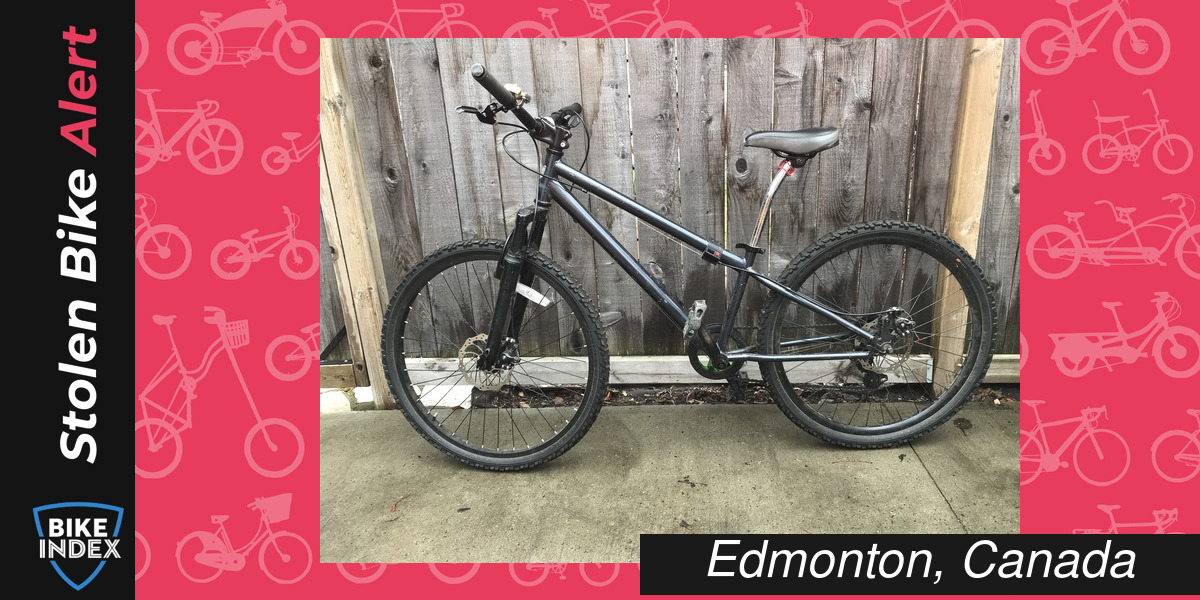 Stolen Unknown Mountain bike