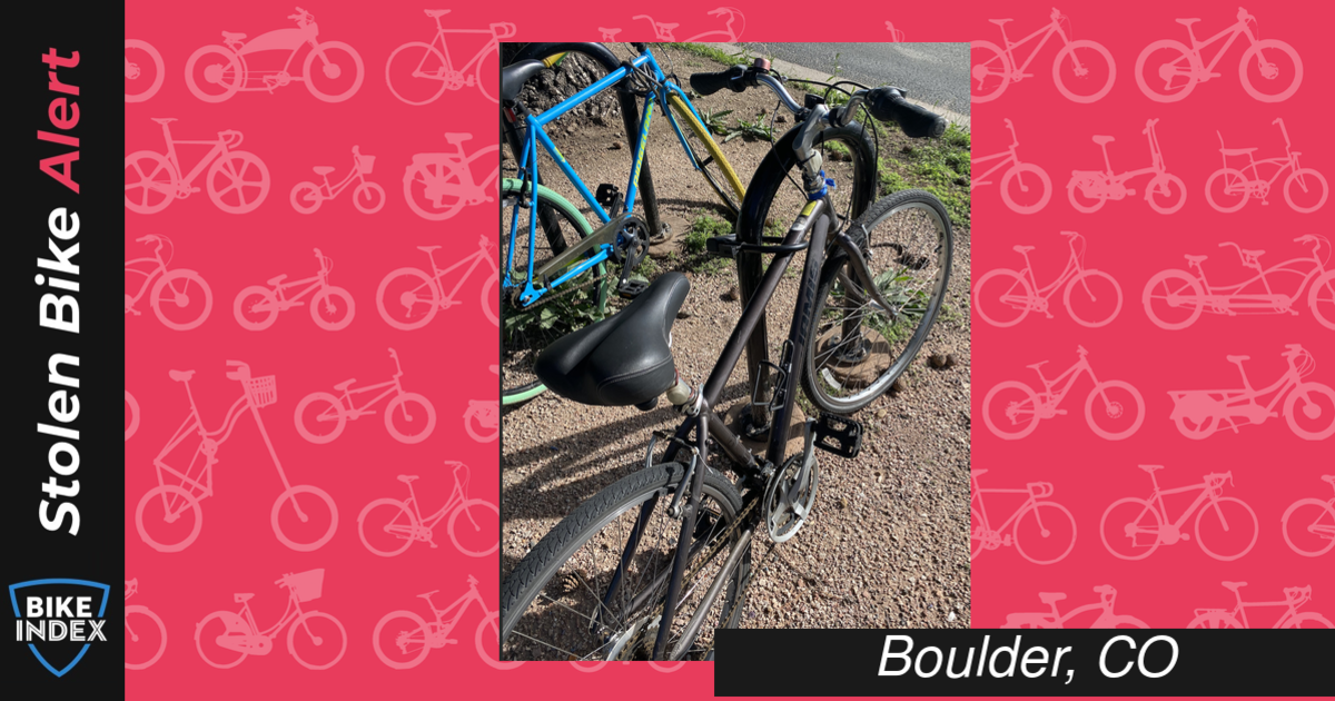 Stolen Jamis Citizen 1