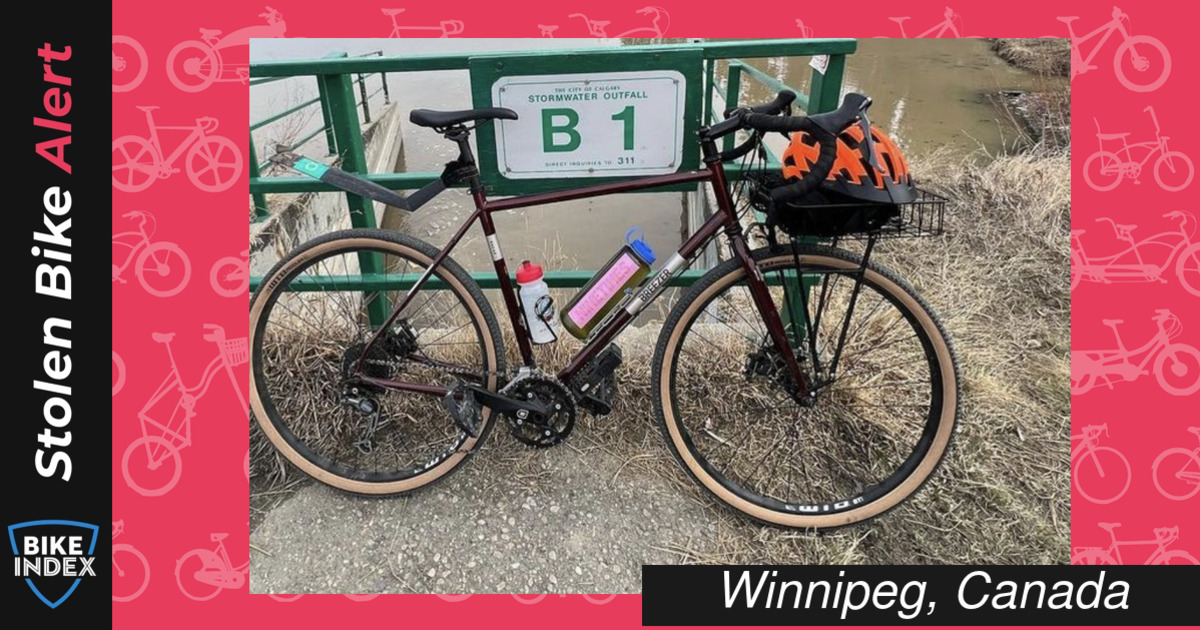 Stolen 2022 Breezer Breezer Radar Expert Adventure