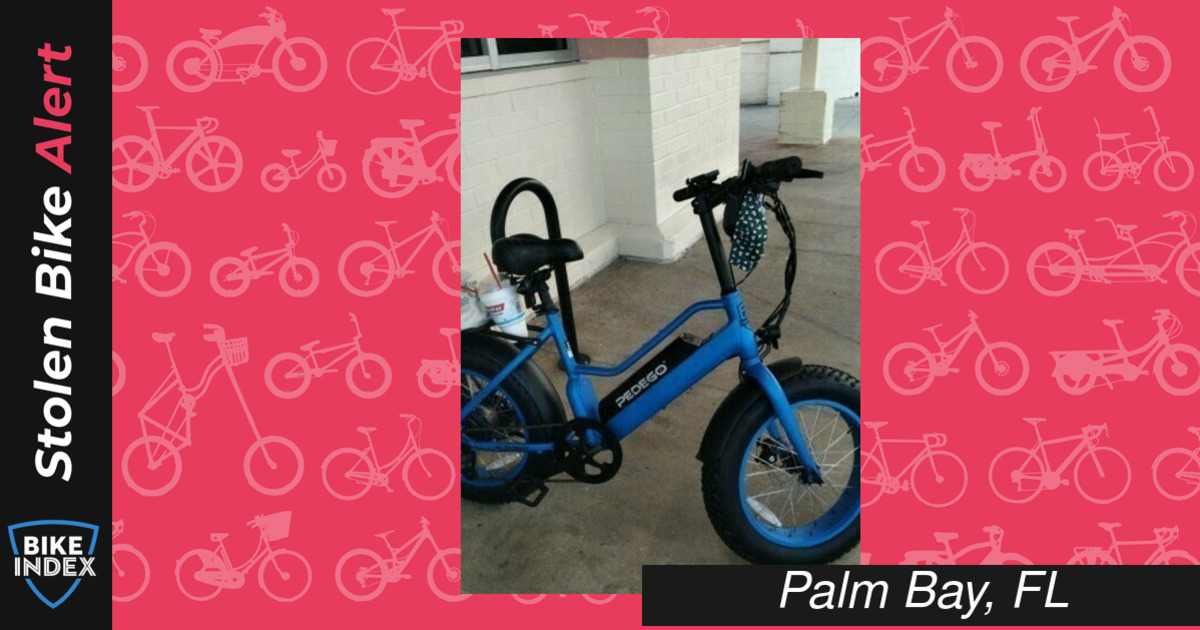 Stolen 2022 Pedego Element+