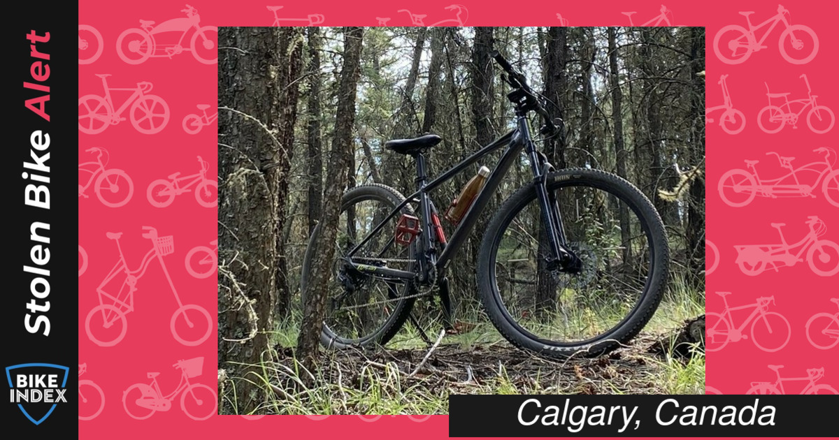 Stolen 2020 Giant Talon 1