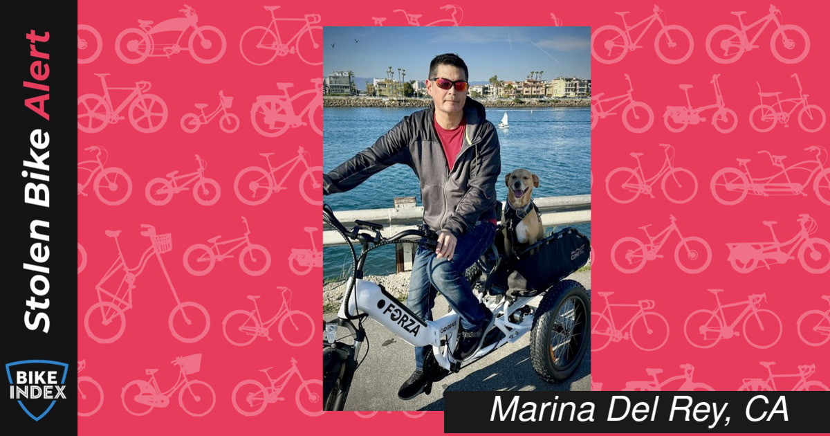 Stolen 2023 GO BIKE FORZA cargo tricycle (rear storage)