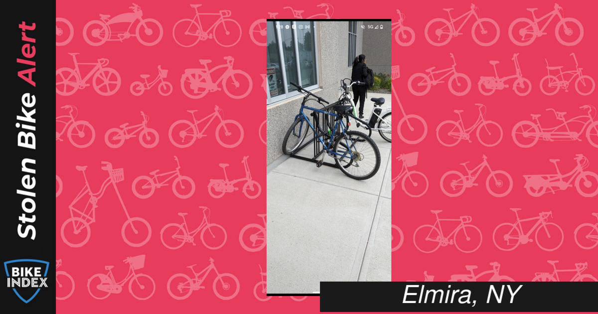 Stolen 1997 Bianchi timberwolf