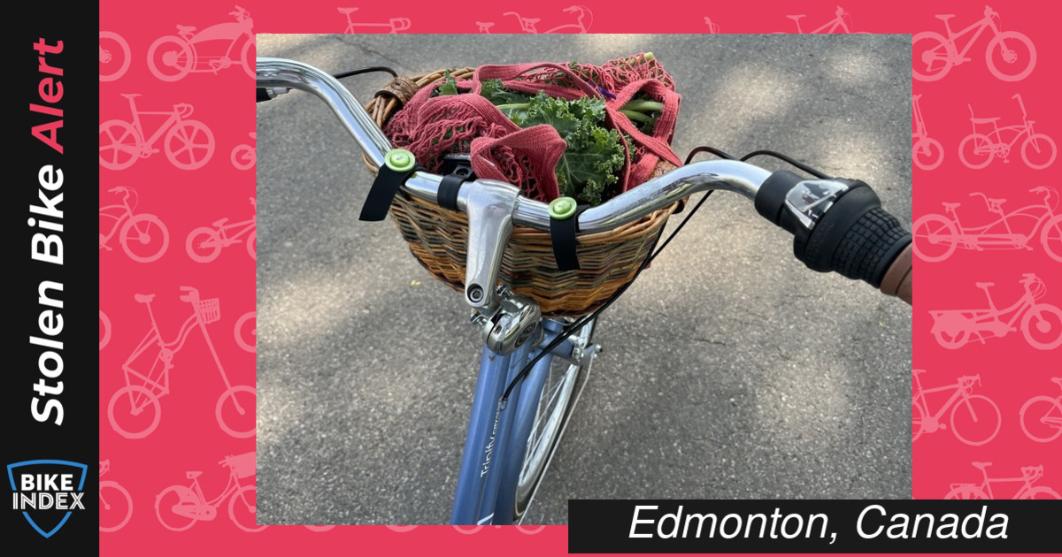 Stolen Trinity City Series