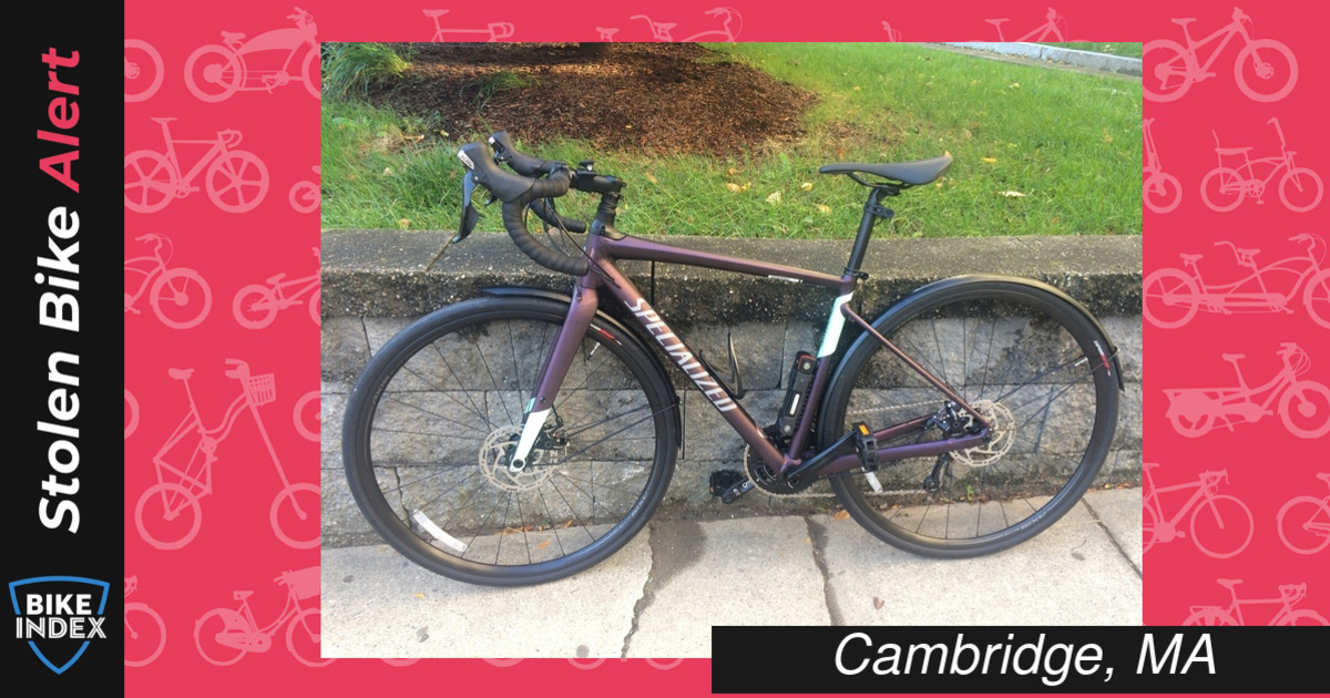 Stolen 2017 Specialized Womens 19 Diverge Comp E5