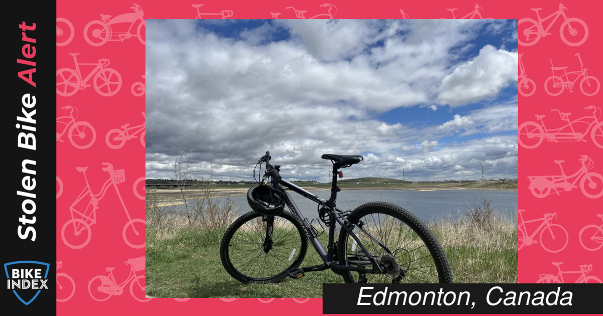 Stolen Diamondback Odyssey 27.5