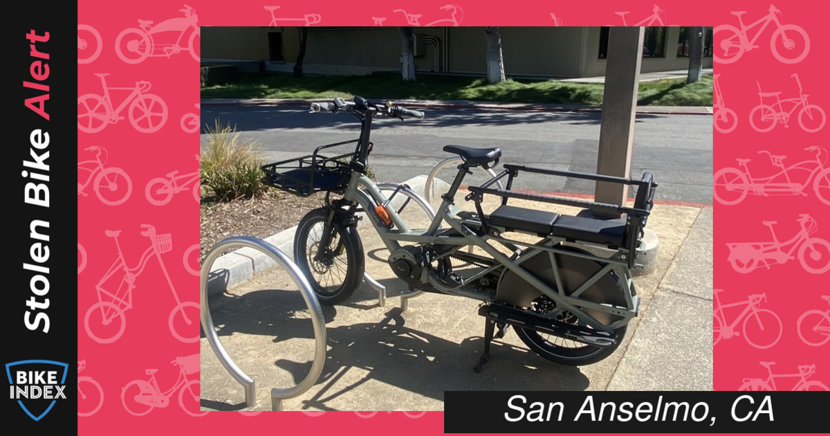 Stolen 2023 Tern Tern GSD S00 LR, Dark Sage Green