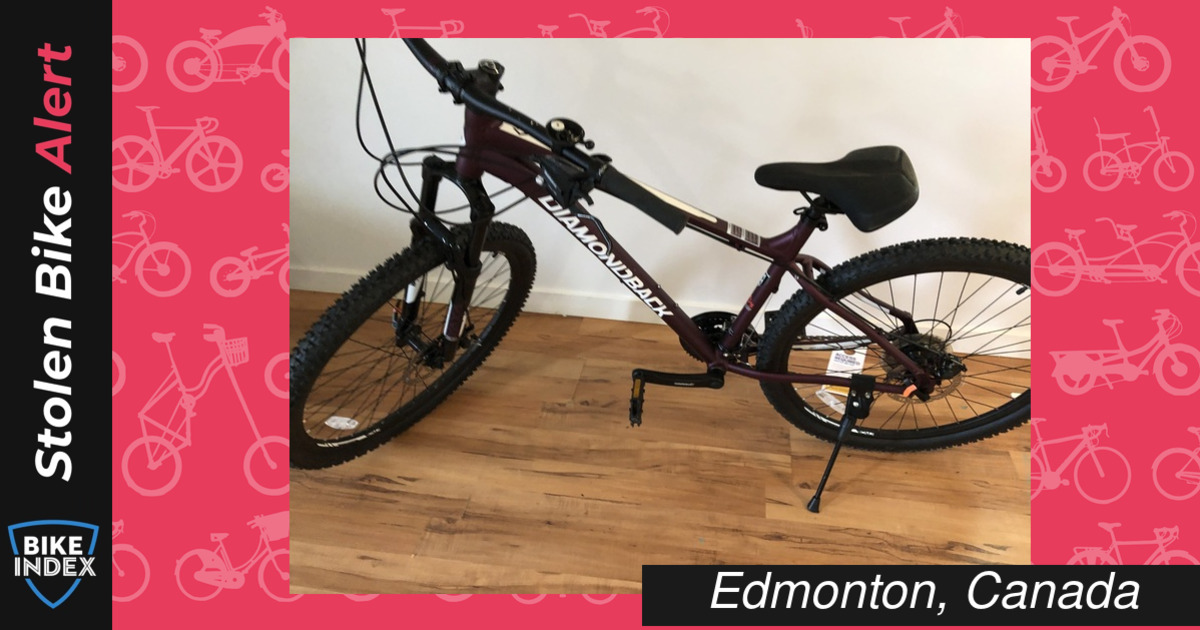 Stolen 2024 Diamondback Expresso