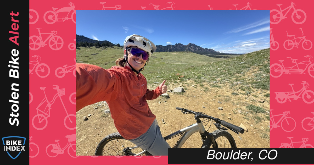 Stolen 2022 Kona Honzo