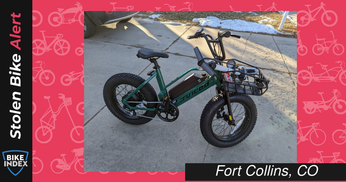Stolen 2022 Juiced Bikes Rip Racer