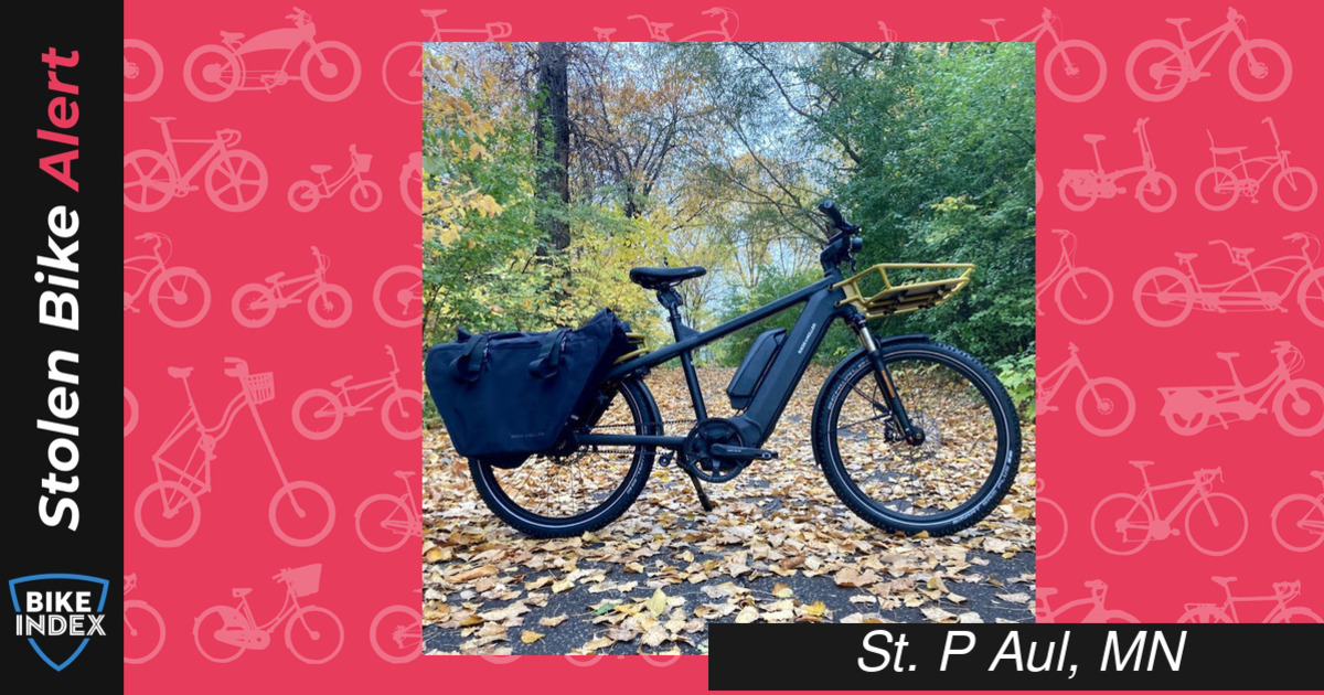 Stolen 2021 Riese & Müller Multicharger