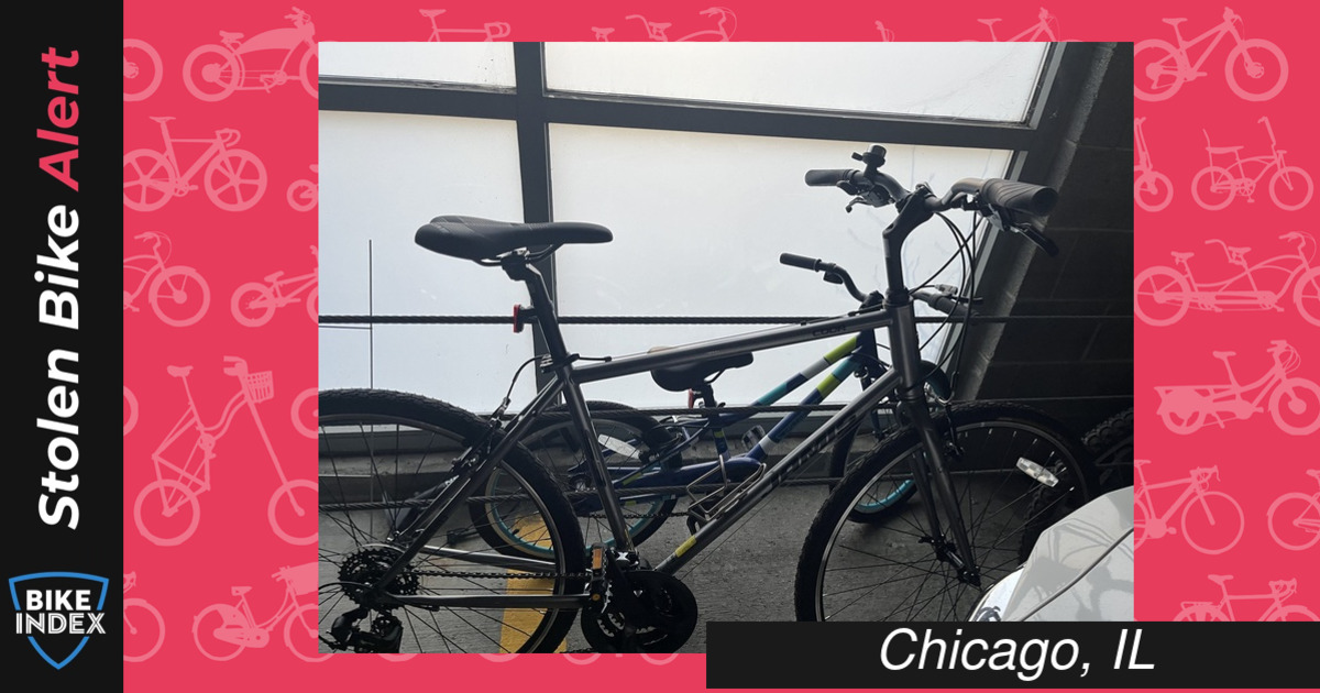 Stolen 2022 Jamis Coda S3