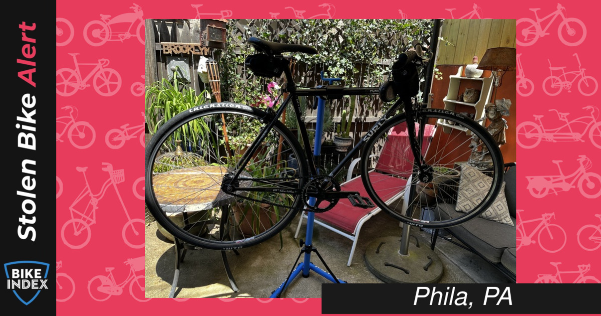 Stolen 2020 Surly Steamroller