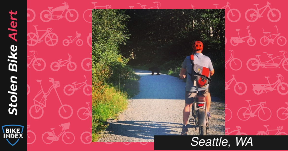 Stolen 2021 Rad Power Bikes Rad runner plus