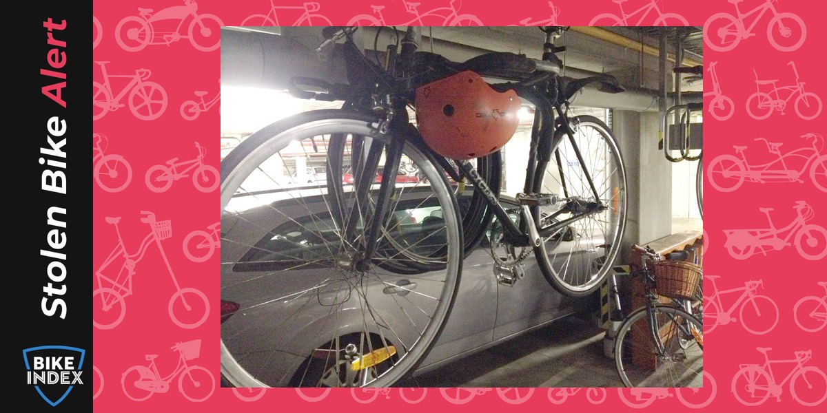 Stolen 2014 Samson Road Bike