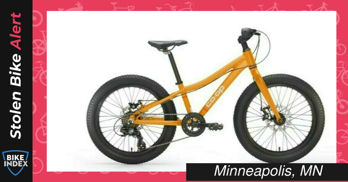 Stolen 2024 REI Co-op REV 20 6-Speed Plus Kids' Mountain Bike