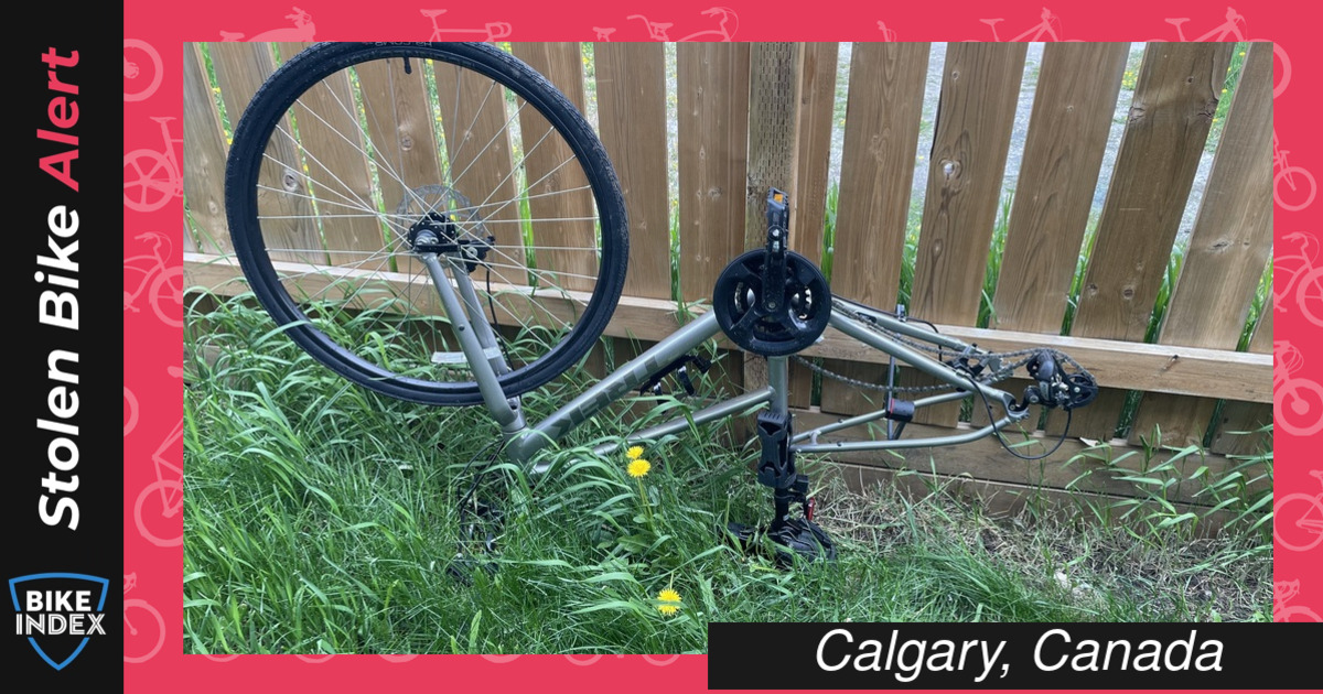 Stolen 2023 Trek Stagger disc Fx1