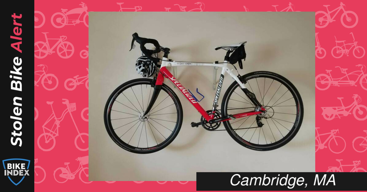 Stolen 2009 Specialized Tricross Pro Frameset