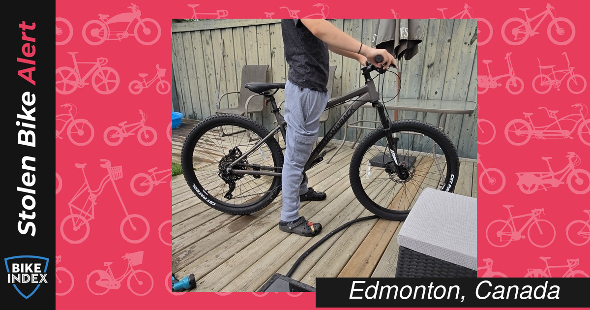 Stolen 2024 Diamondback Motown 27.5 gray