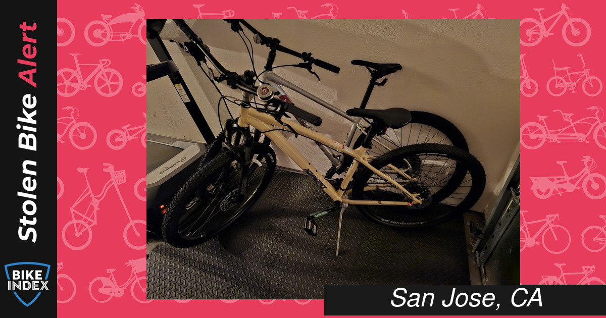 Stolen 2021 Diamondback Overdrive 29.2