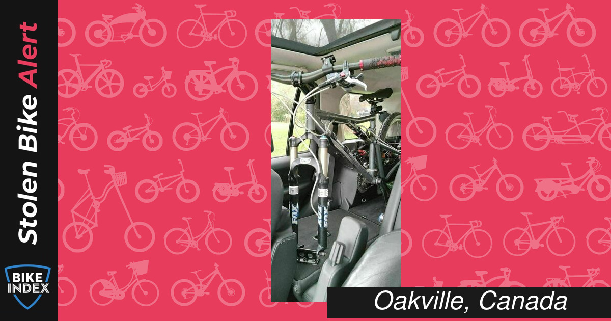 Stolen 2008 Santa Cruz Blur XC