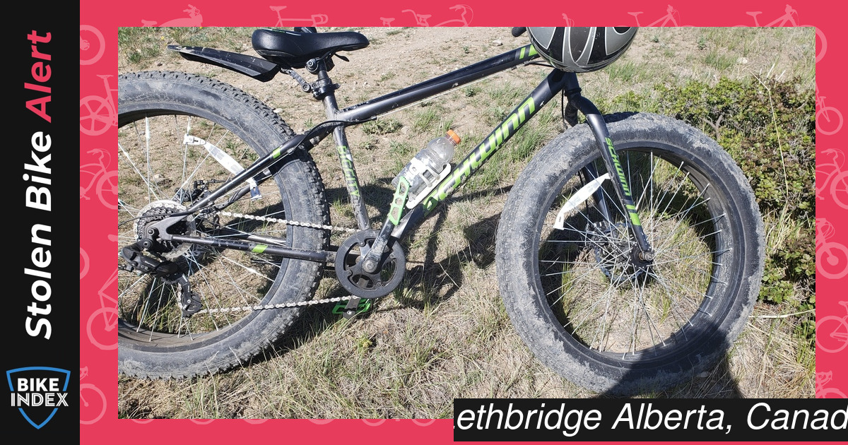 Stolen 2020 Schwinn Bigcitydlx