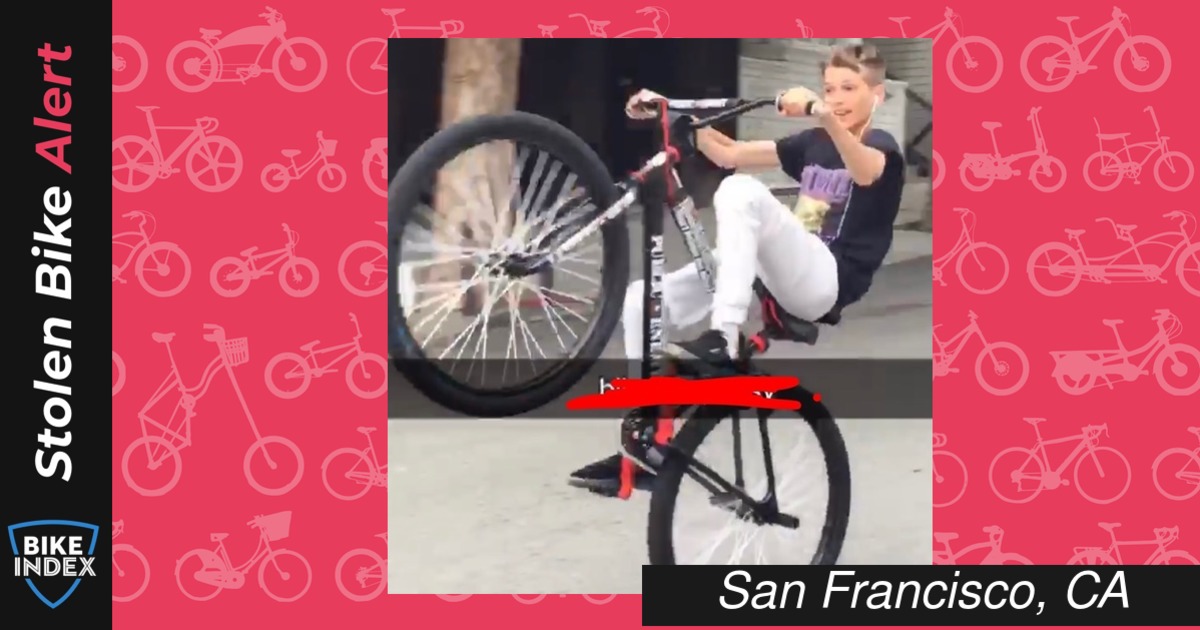 Stolen 2017 SE Bikes Big Ripper Public Enemy