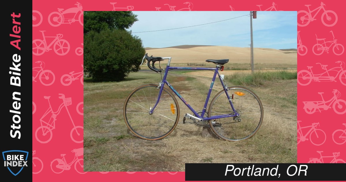 Stolen 1996 Repco Tech Road Bike