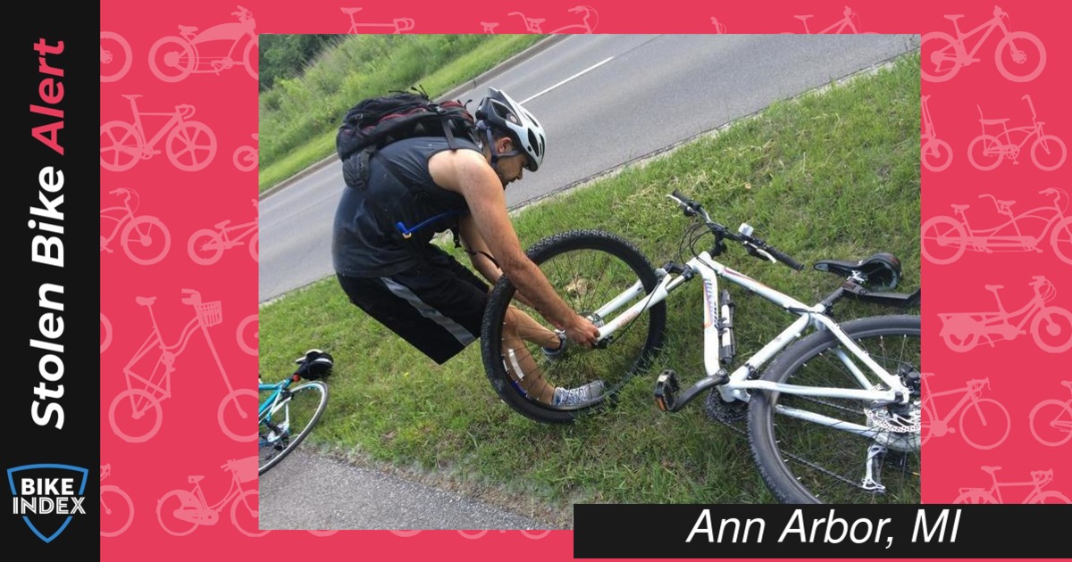 Stolen 2010 Novara Torero