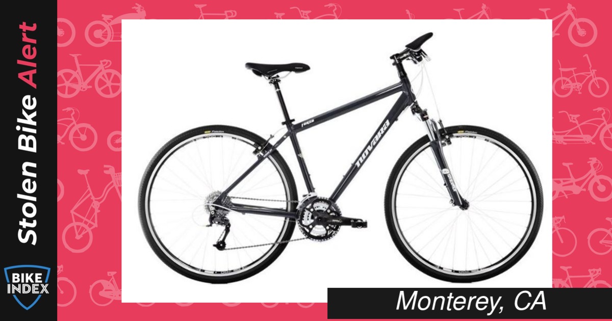 Stolen 2015 Novara Forza