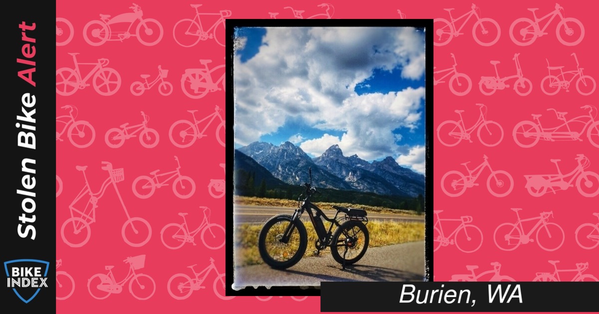 Stolen 2018 Rad Power Bikes Rad Rover