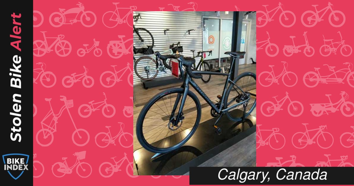 Stolen 2018 Specialized Open road geometry