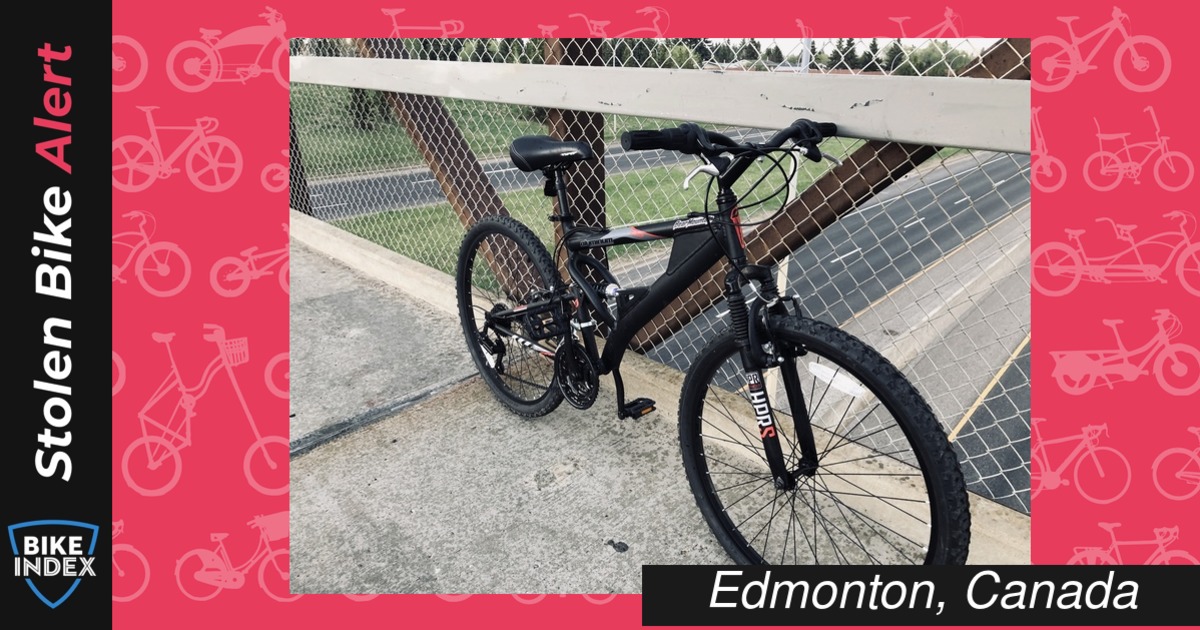 Stolen 2020 Hyper Bear mountain