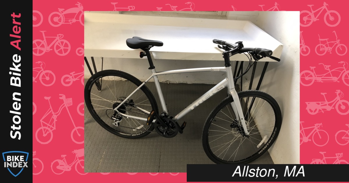 Stolen 2021 Trek FX 2 W Disc Matte quicksilver