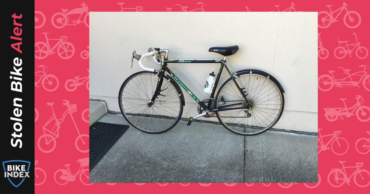 Stolen 1991 Diamondback Interval TG