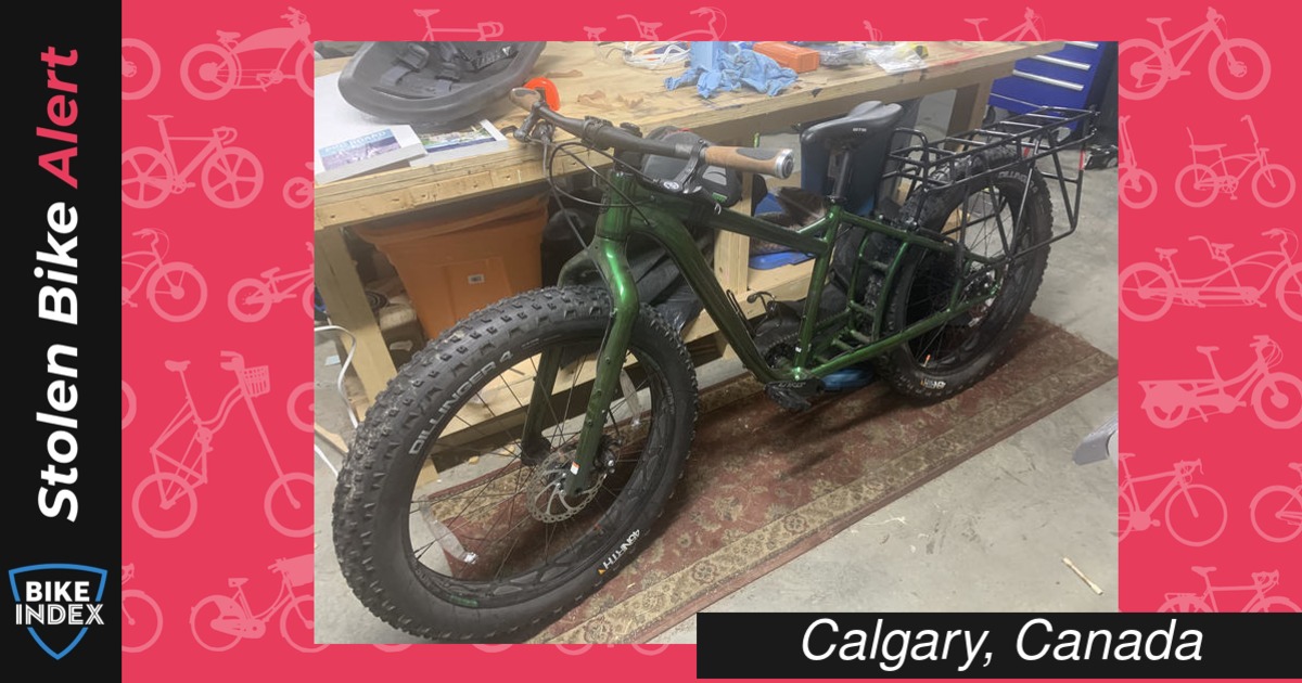 Stolen 2020 Salsa Blackborow SML cargo bike (rear storage)