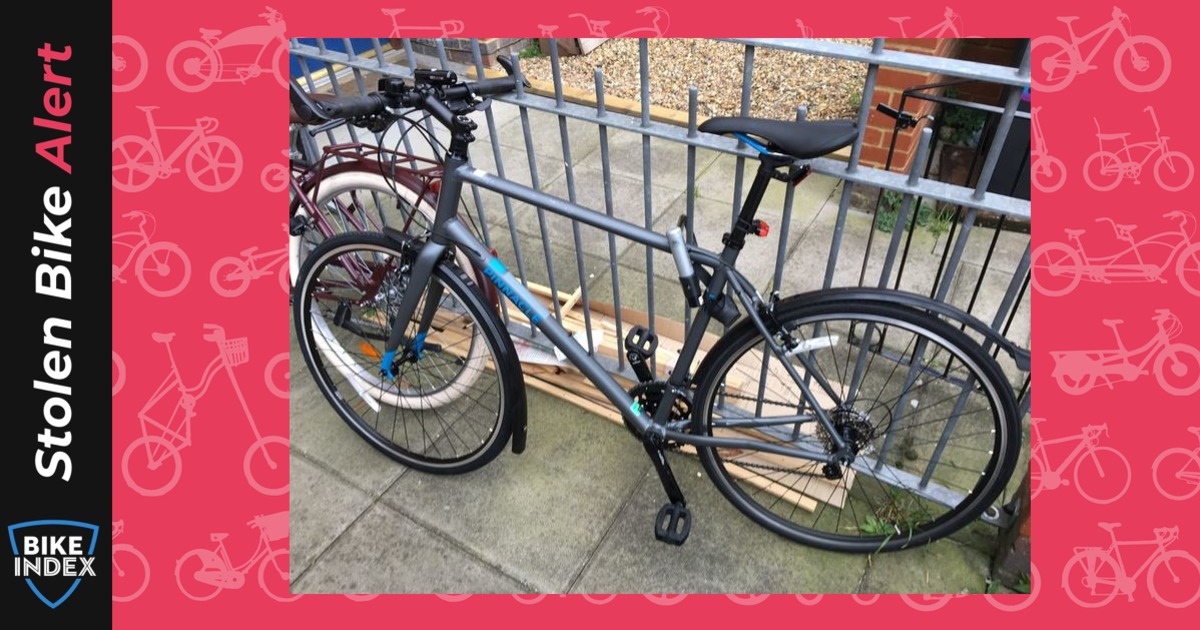 Stolen 2018 Pinnacle Neon