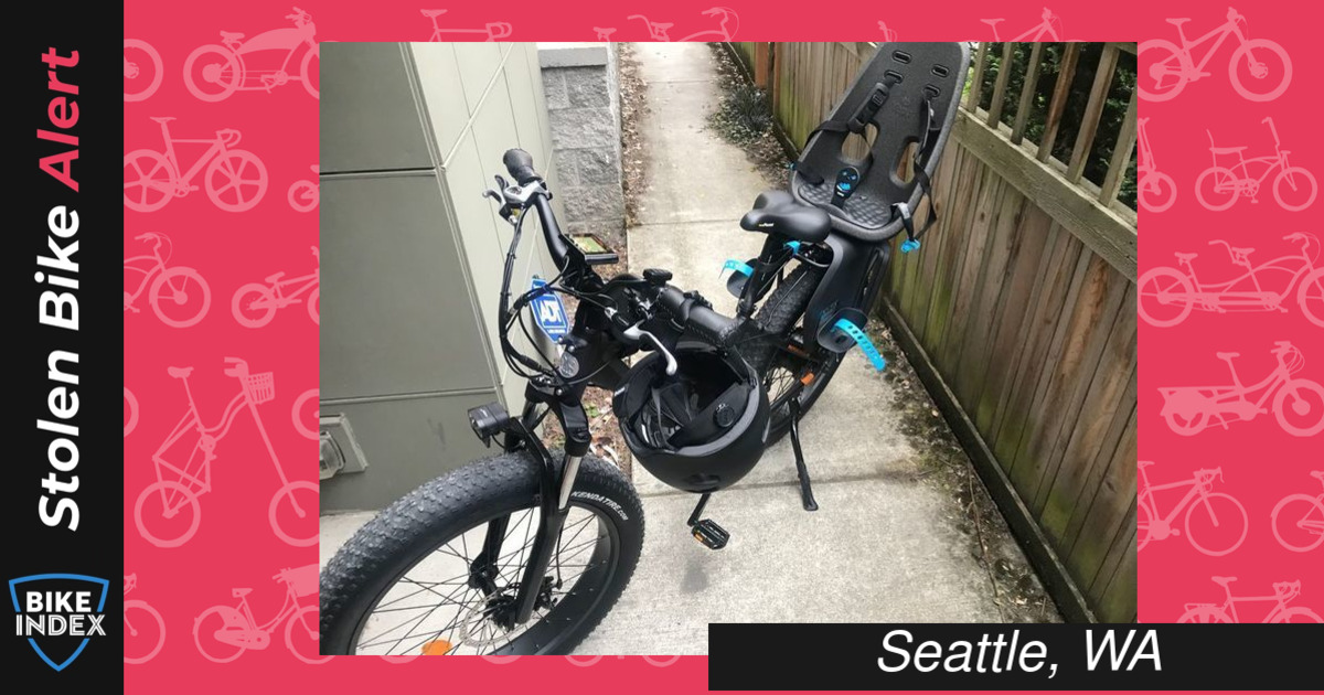 Stolen 2018 Rad Power Bikes RAD ROVER (Fat tire)