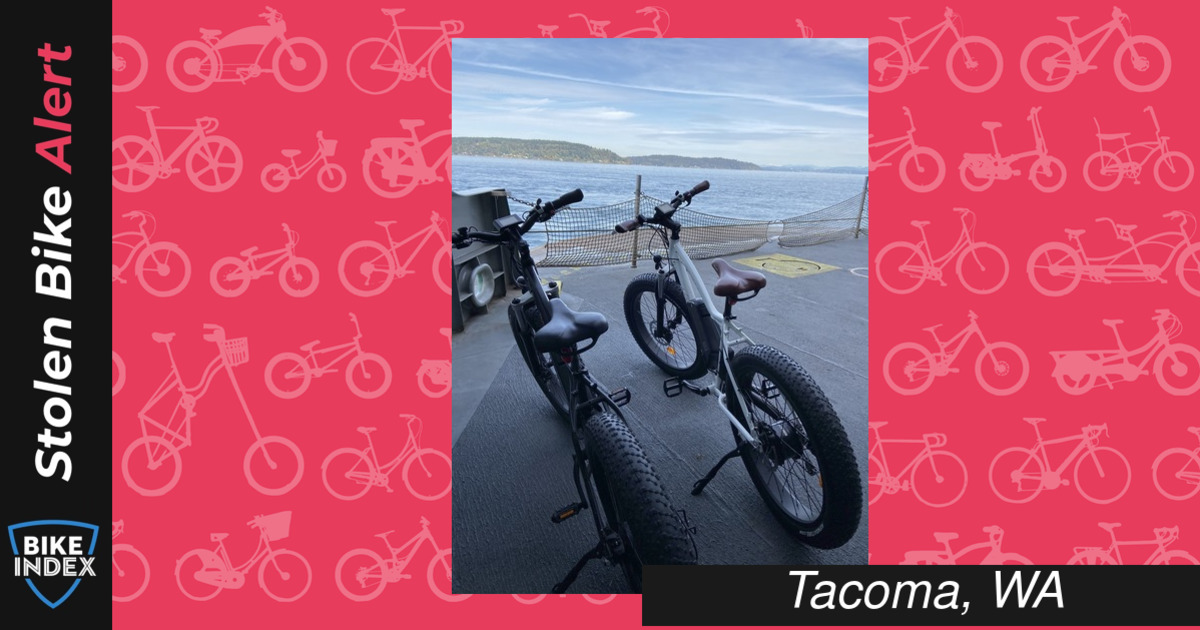 Stolen 2018 Rad Power Bikes RAD Rover electric bike