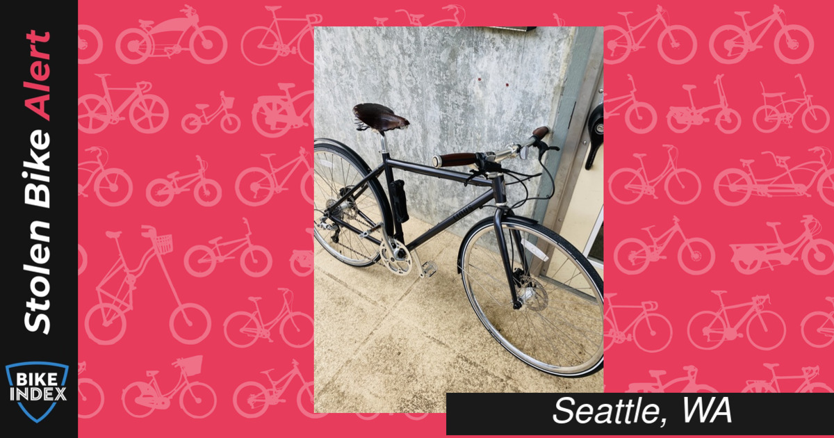 Stolen 2020 Linus Pronto 10