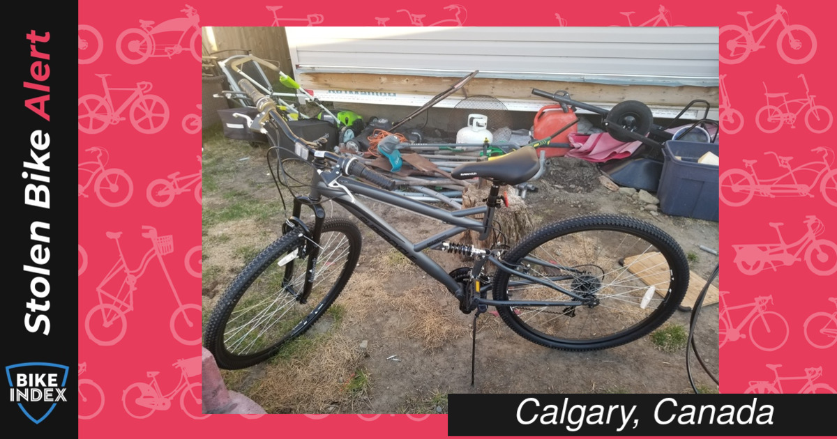 Stolen Supercycle Outlook