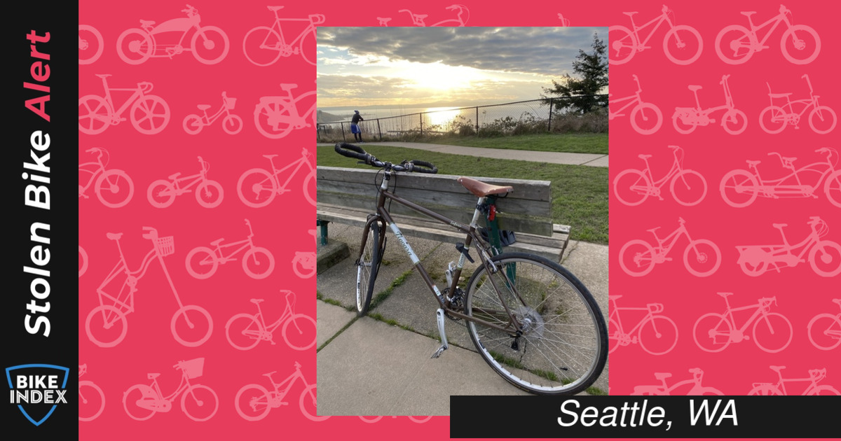 Stolen 2013 Novara Safari