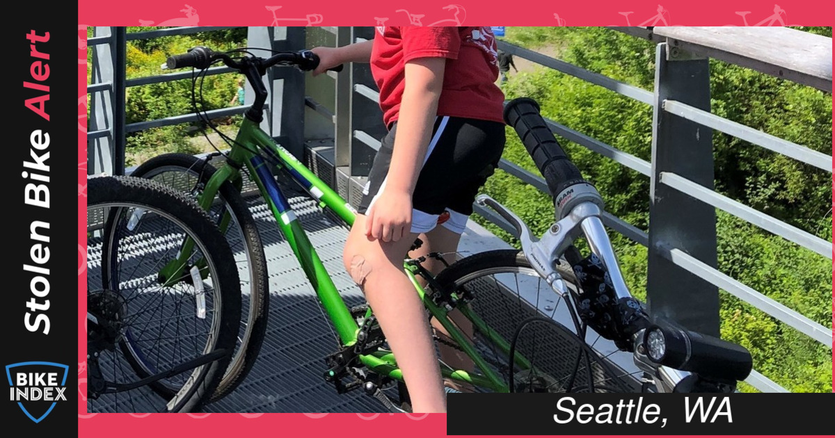 Stolen 2017 Diamondback Insight 24"